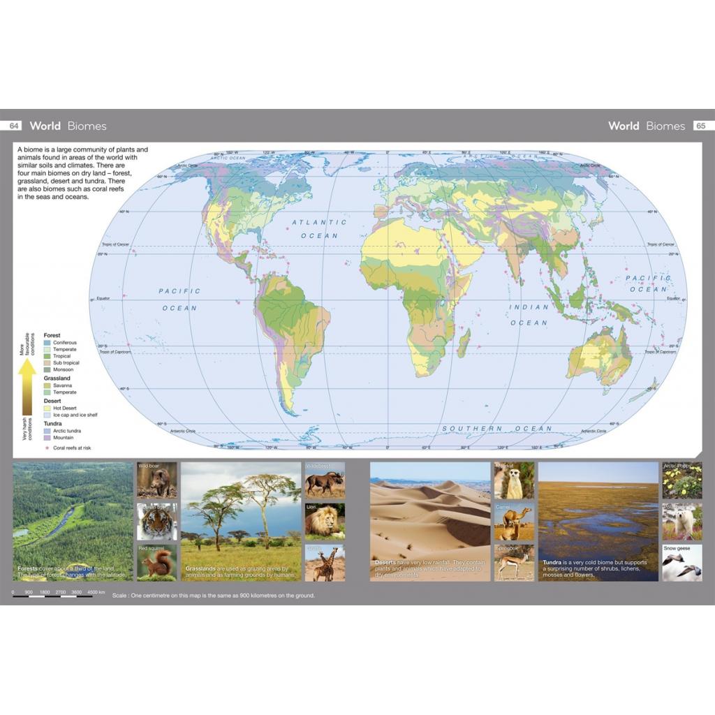 Collins Junior Atlas x 15 | Wildgoose Education