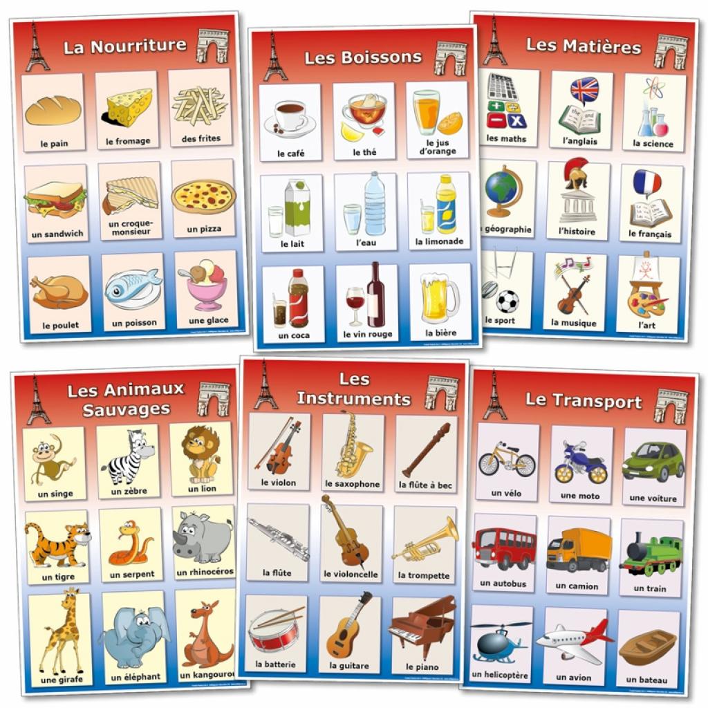French Vocabulary Posters