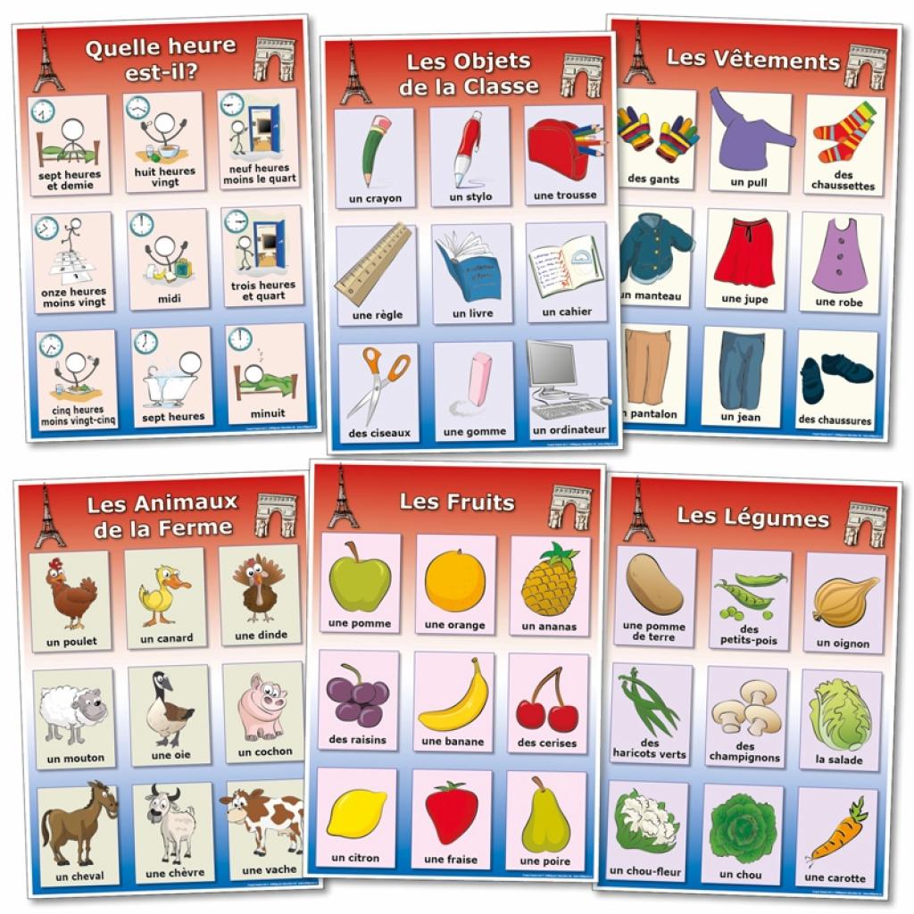 French Vocabulary Posters