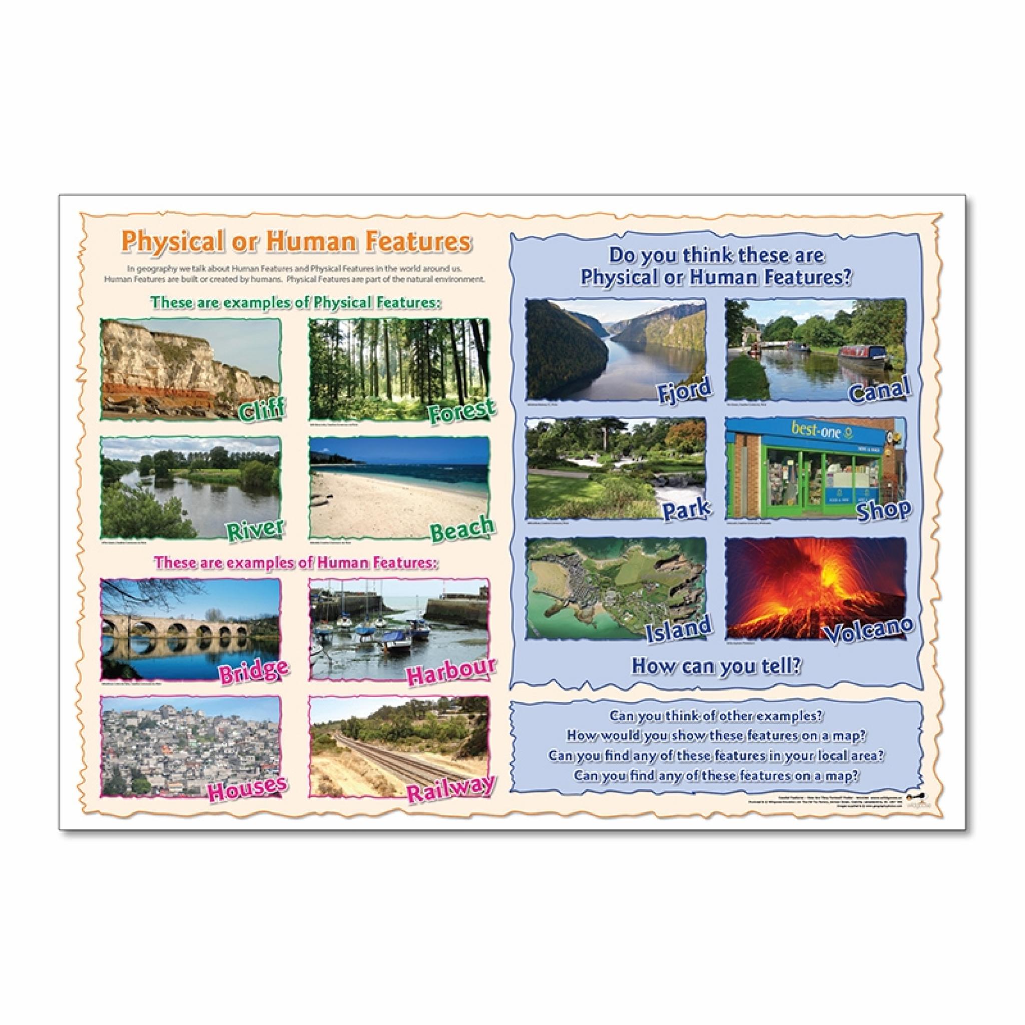 Human Features Poster