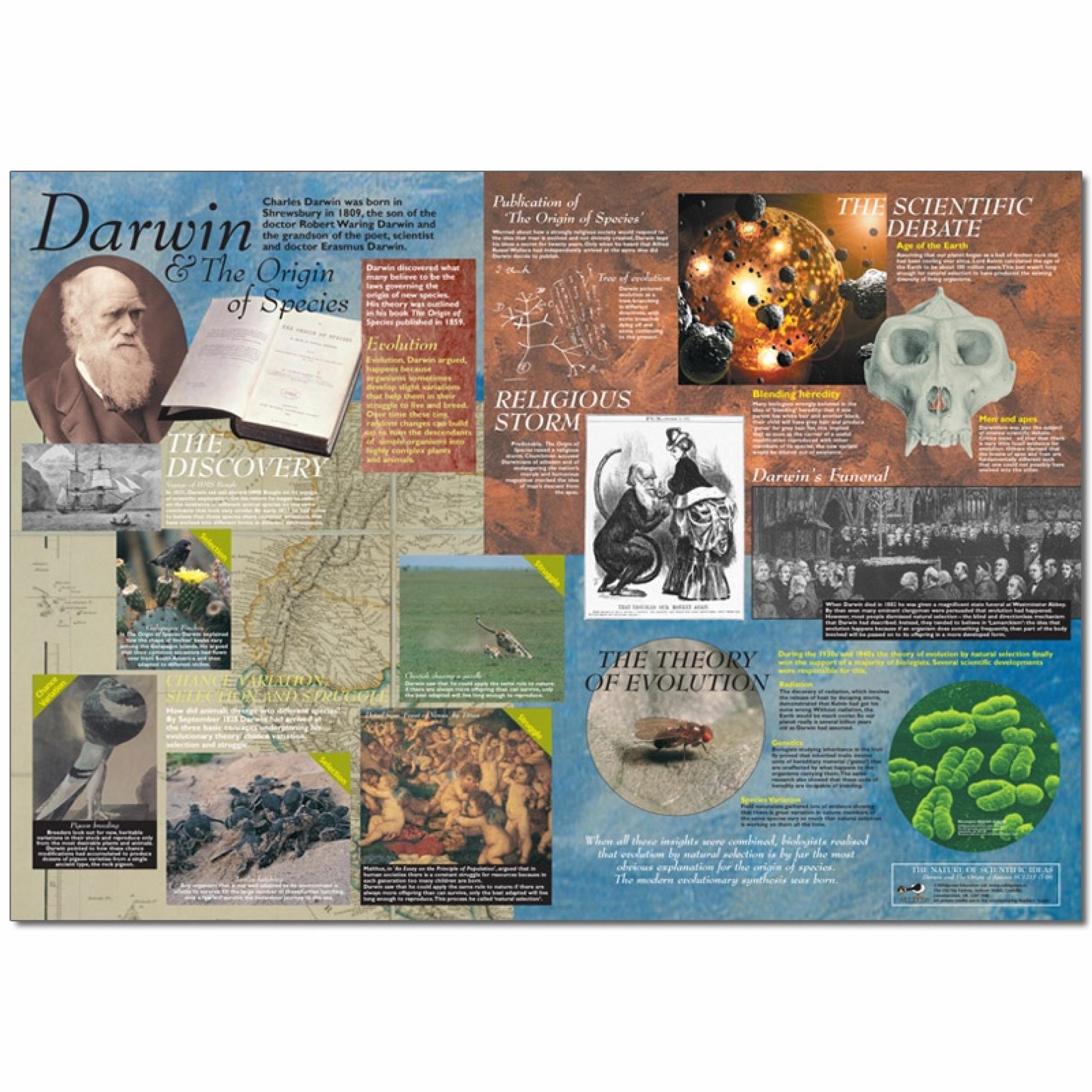 The Origin of Species Poster