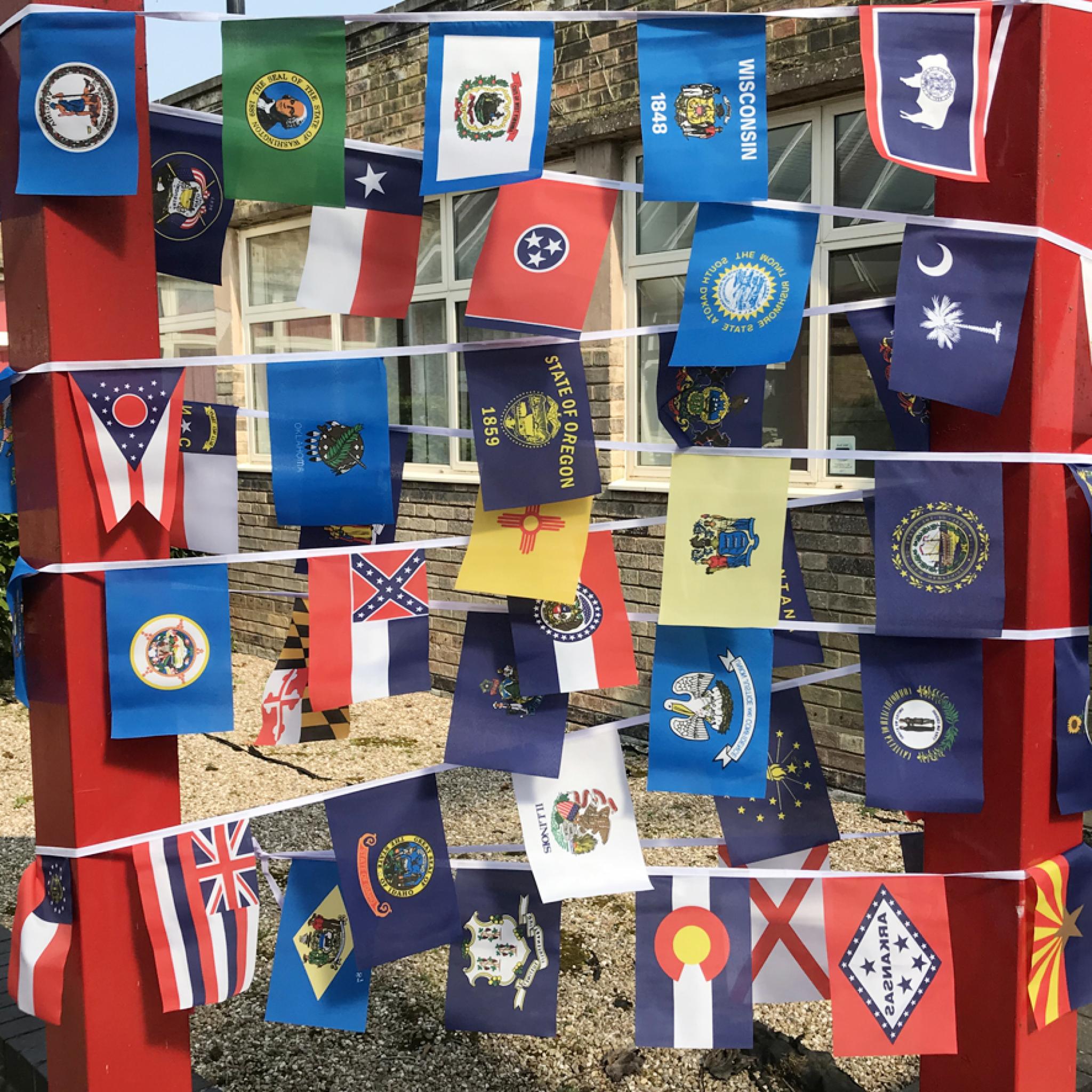 United States Bunting | Wildgoose Education