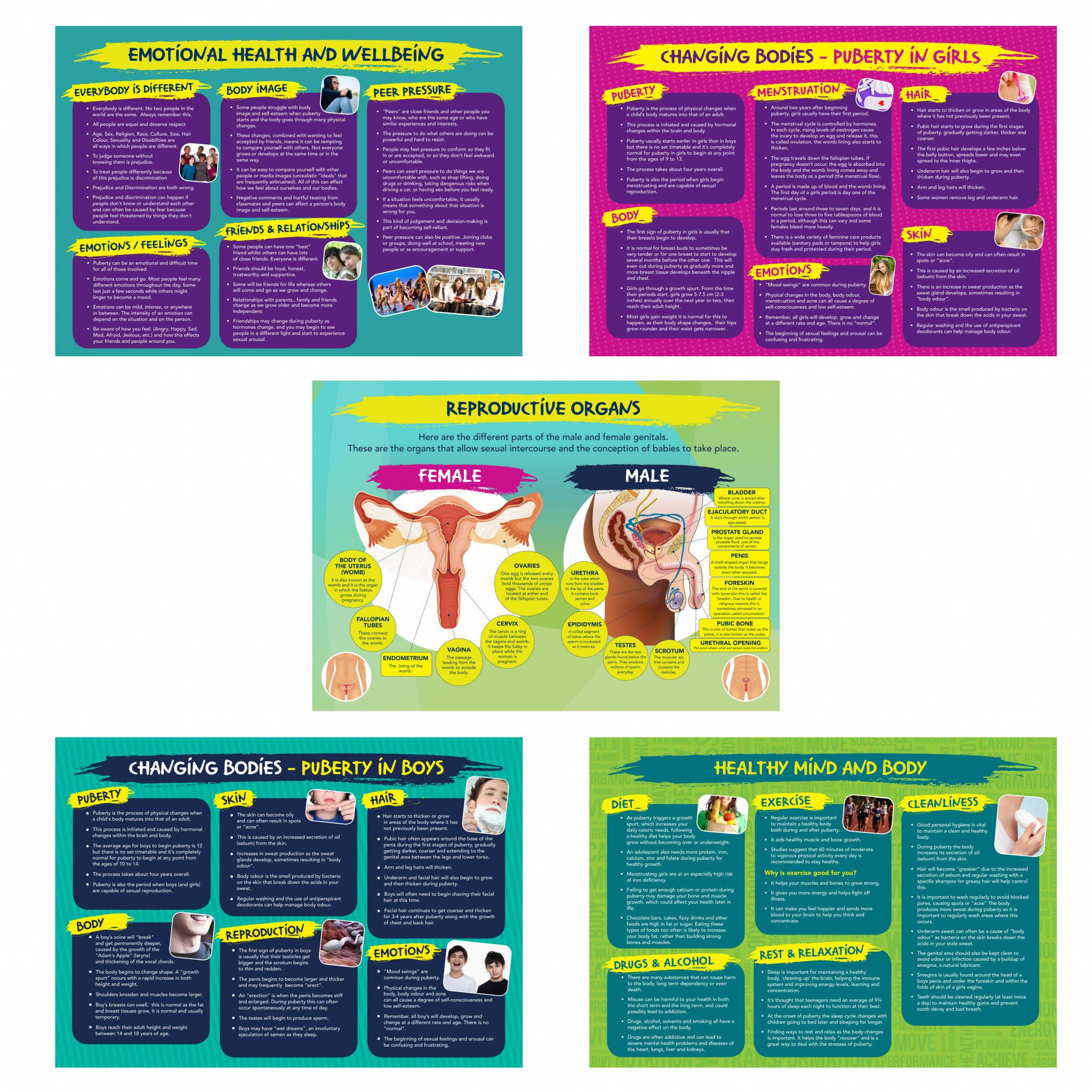 Health and Wellbeing Poster Set | Wildgoose Education