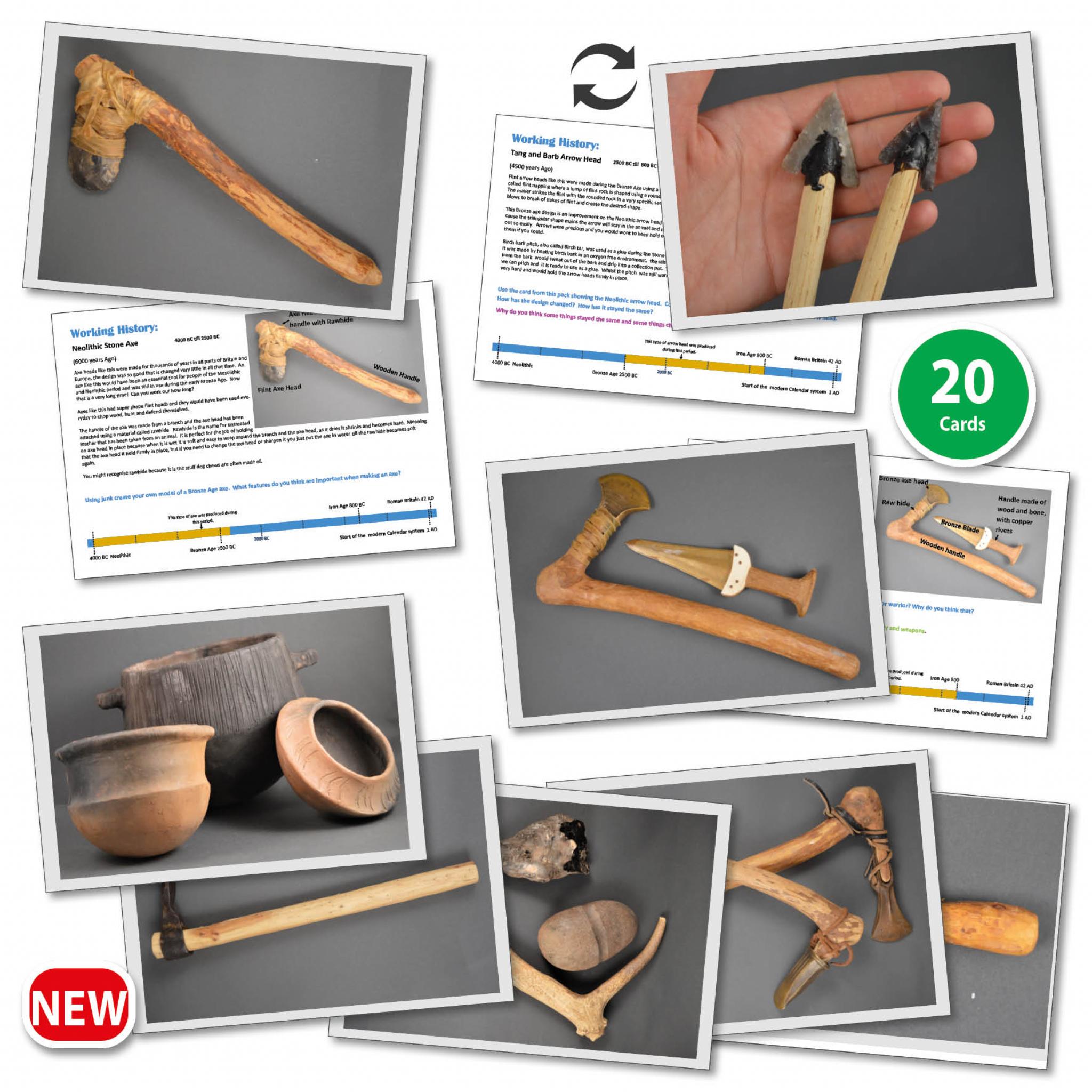 Working History... Prehistoric Cards | Wildgoose Education