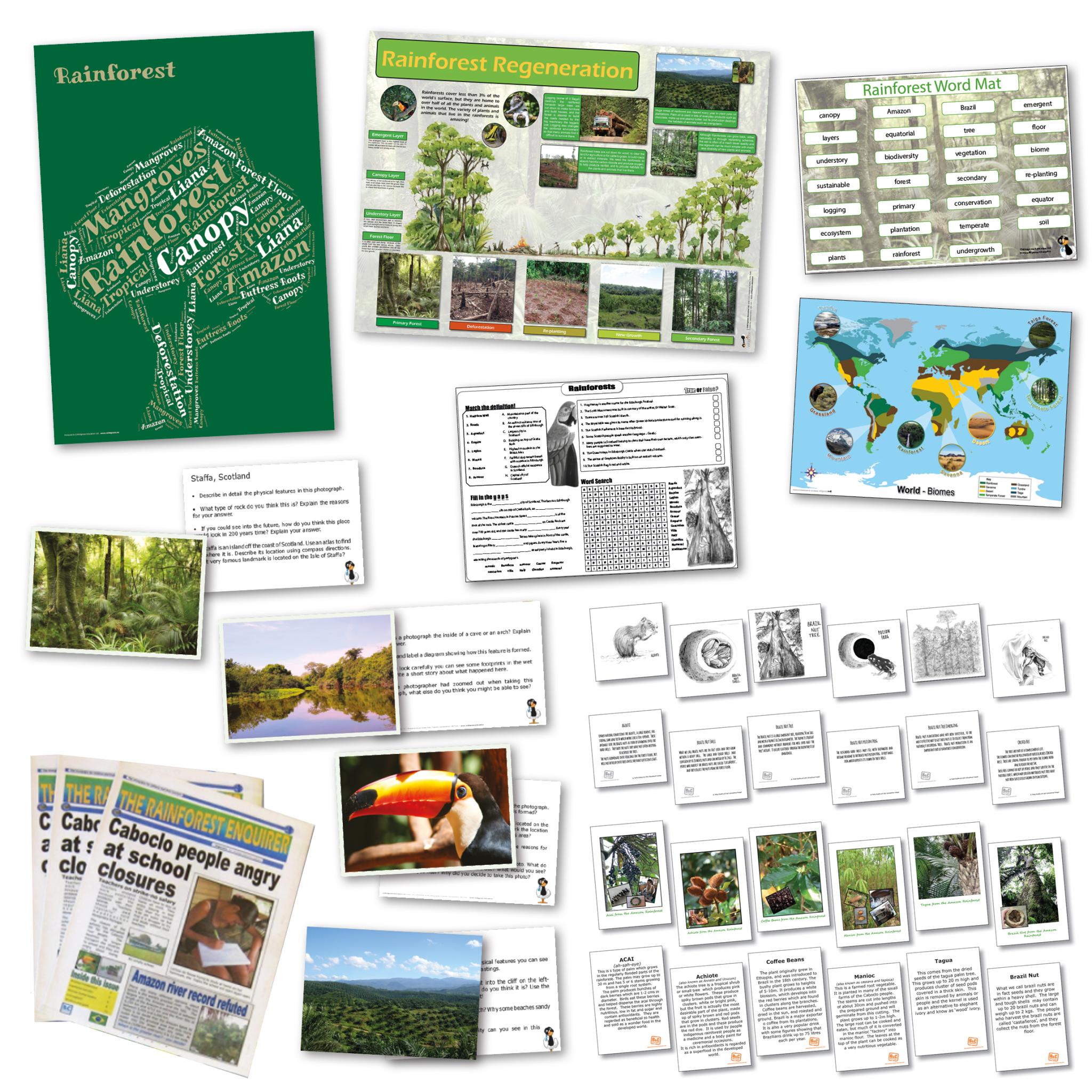Rainforest Curriculum Pack | Wildgoose Education