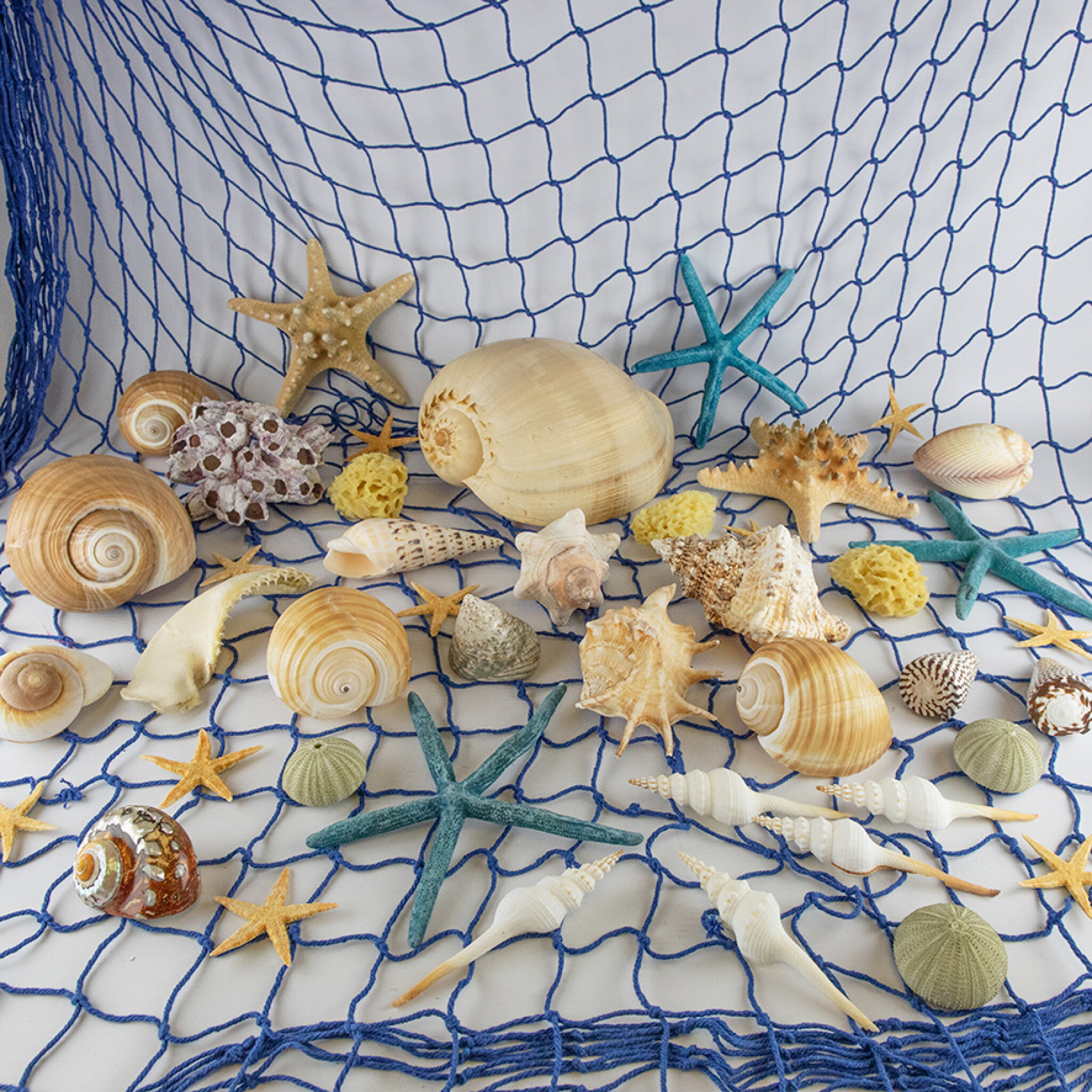 Human Features poster