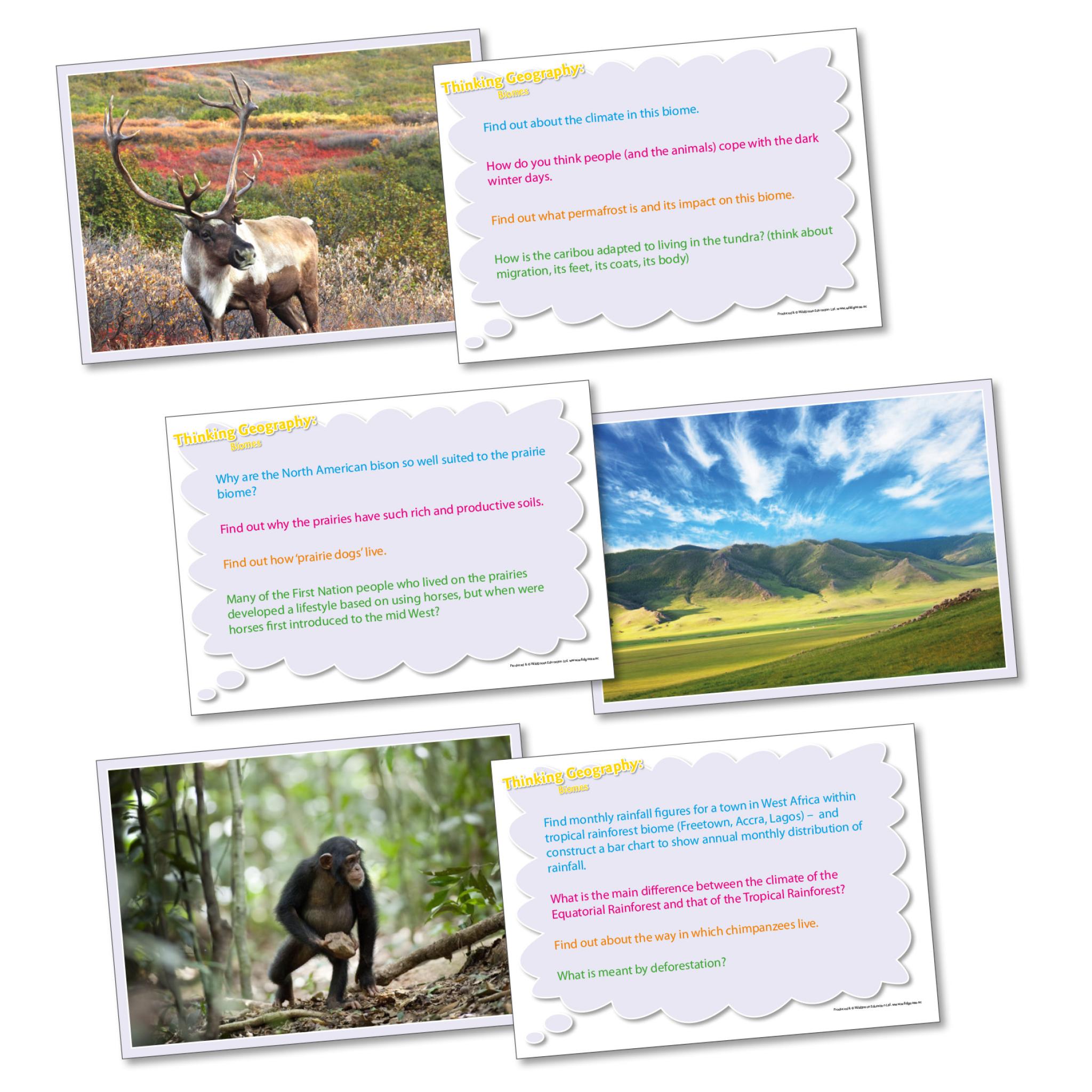 Biomes Curriculum Pack | Wildgoose Education